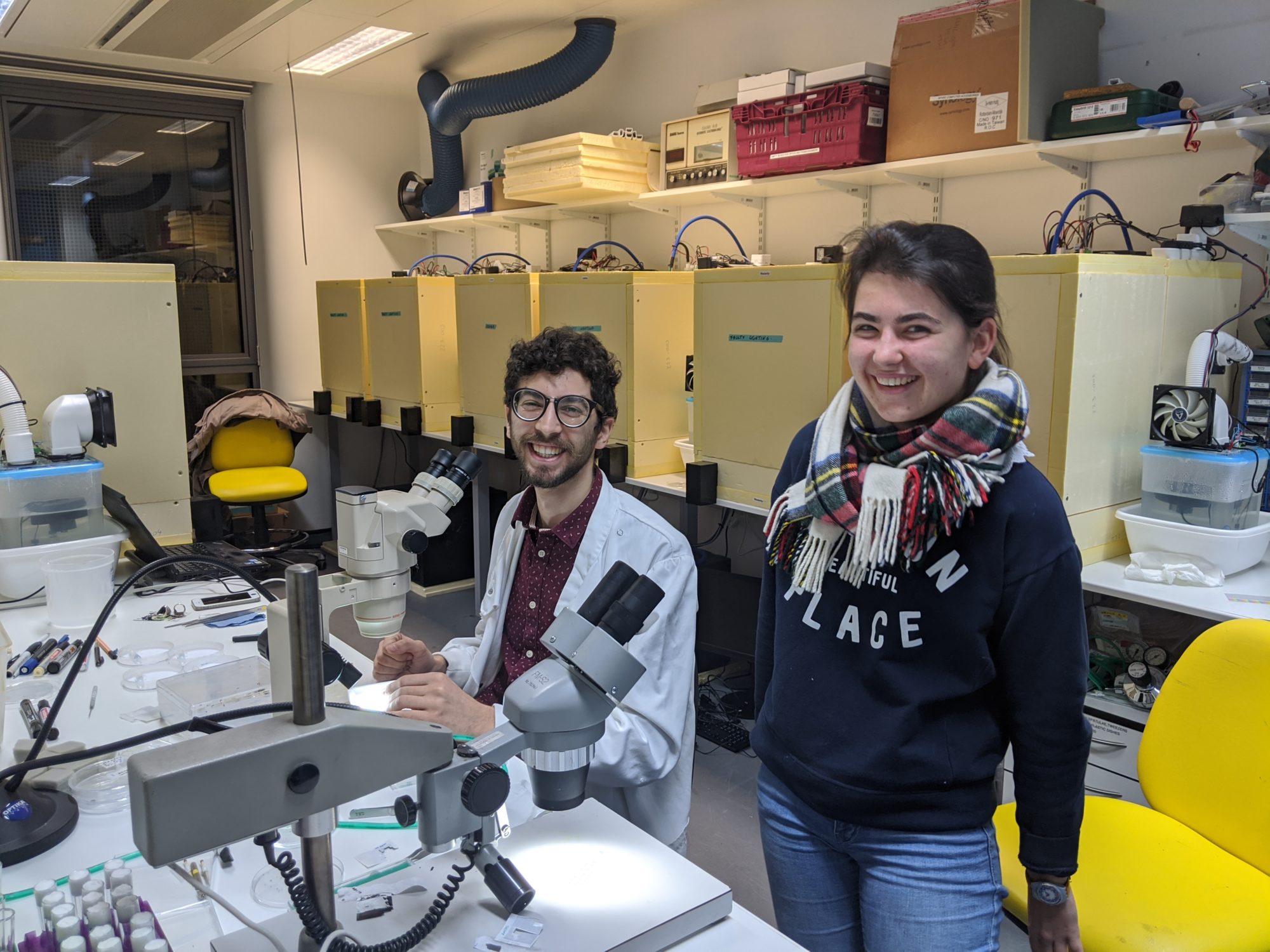 Ant epidemiology Lab – Collective behaviour and social immunity in ants